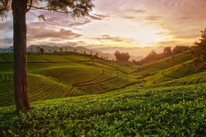 1 Coonoor Tour Packages Starting @ ₹28,815, get upto 30% Off on Coonoor ...