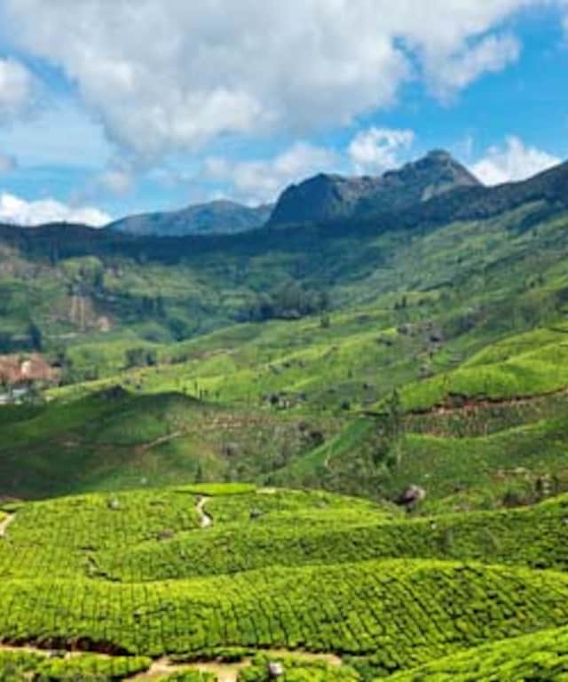 Beach Holidays in India, Book Beach Tour and Travel Packages at Yatra ...