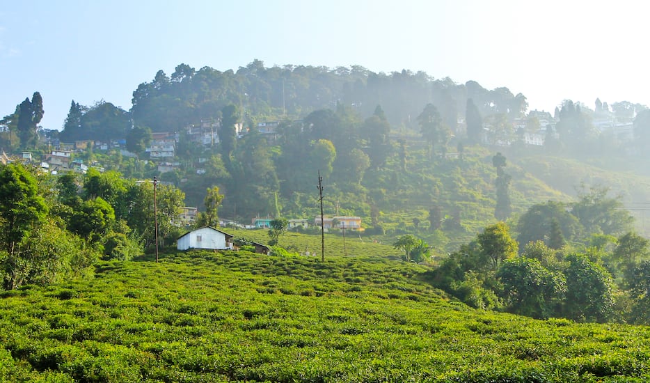 Book Darjeeling The Queen Of Hills tour packages, Darjeeling ...