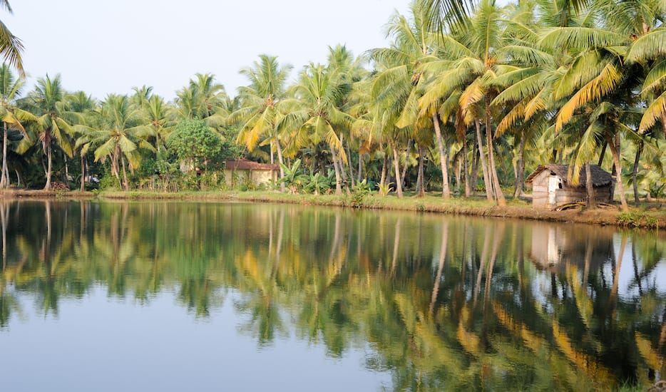 Book 5 Nights In Kerala With Munnar, Thekkady, Alleppey tour packages ...