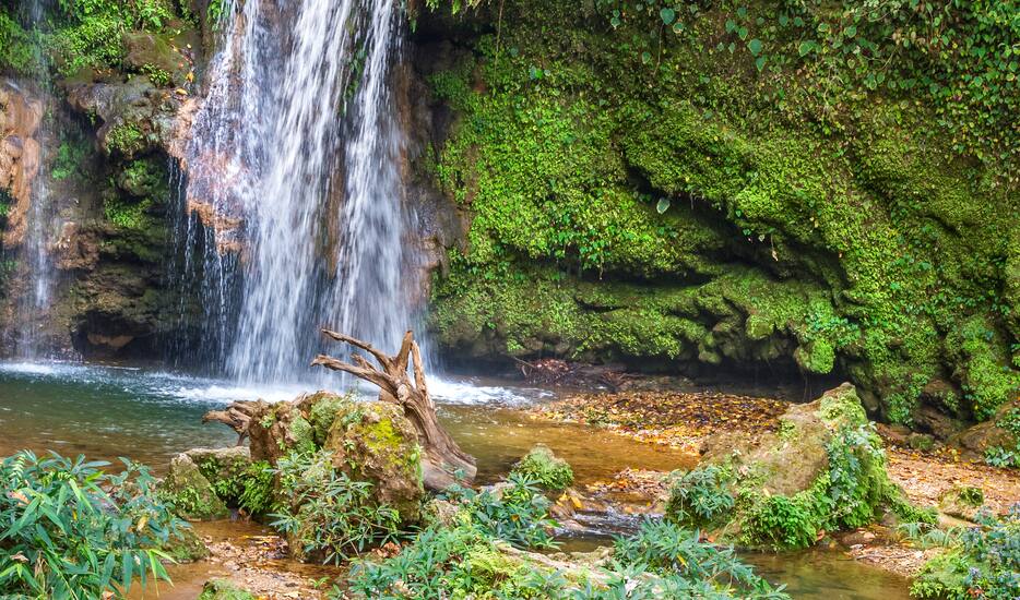 Book Jim Corbett 2 Nights At Corbett Riverside Resort (jeep Safari ...