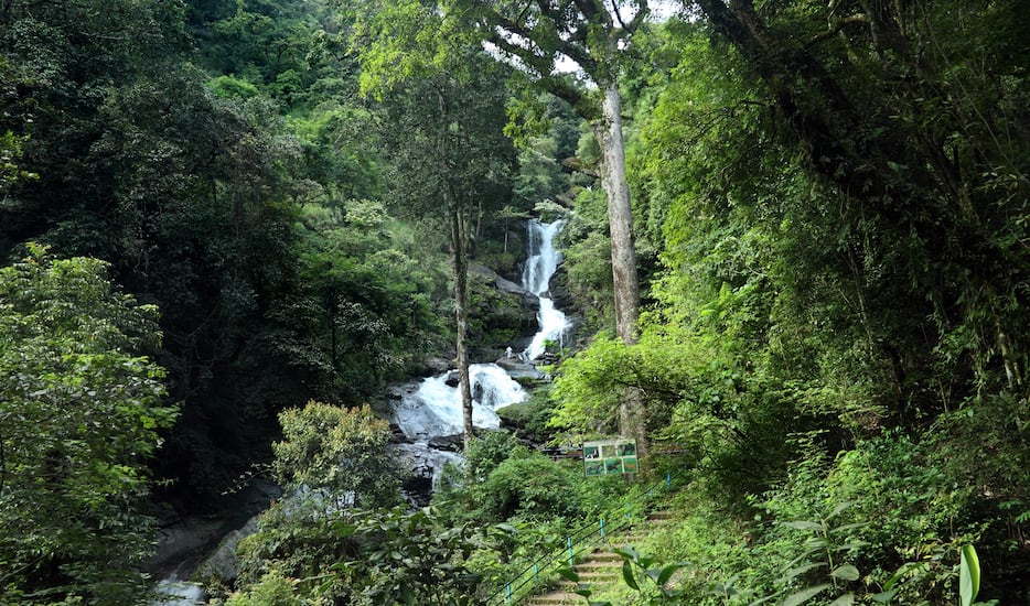Book The Best Of Coorg & Ooty tour packages, Coorg sightseeing | Yatra.com