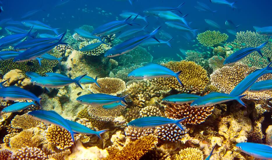 GitHub - monurajputrko/Voyawander