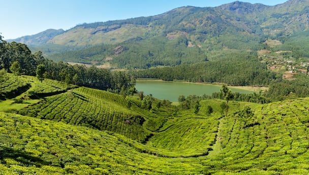 Current Munnar Weather, Temperature and Climate ℃ - Yatra.com