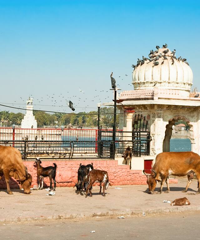 Religious Tour Packages - Book Online Religious and Pilgrimage Tour ...