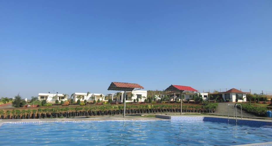 Kesar Farm Sasan Gir Price, Reviews, Photos & Address