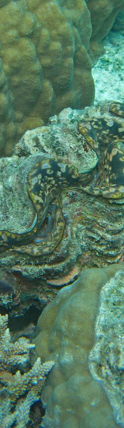 Top Attractions in Lakshadweep, Popular Tourist Attractions in ...