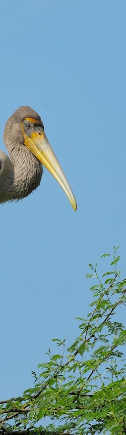 Lakshadweep, India - Lakshadweep Tourism | Lakshadweep Travel Guide ...