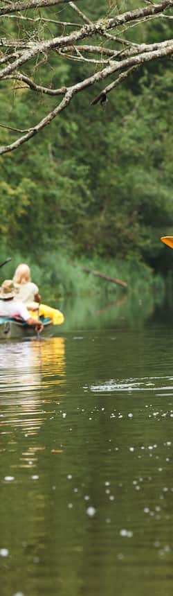 Things to Do in Coorg - Most Popular Coorg Things to Do - Yatra.com