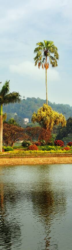 Things to Do in Kandy - Most Popular Kandy Things to Do - Yatra.com