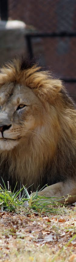 Things to Do in Kanpur - Most Popular Kanpur Things to Do - Yatra.com