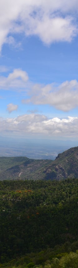 Things to Do in Yercaud - Most Popular Yercaud Things to Do - Yatra.com