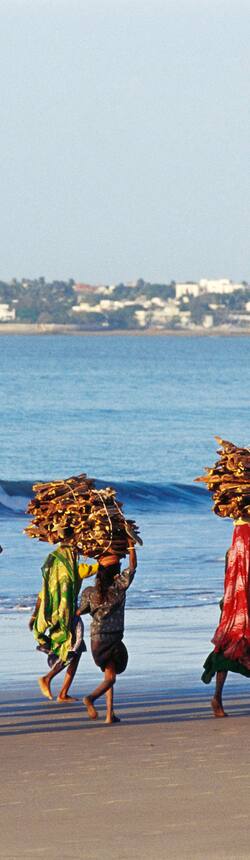 Places to Visit in Sasangir - Most Famous Sasangir Places to Visit - Yatra