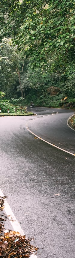 Things to Do in Yercaud - Most Popular Yercaud Things to Do - Yatra.com