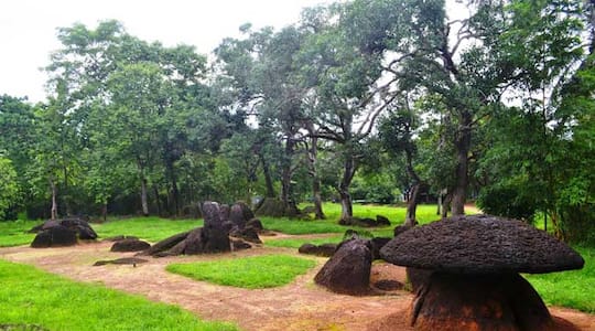 Book Kudakkallu Parambu Entry Tickets Online, Buy Online Tickets Now!