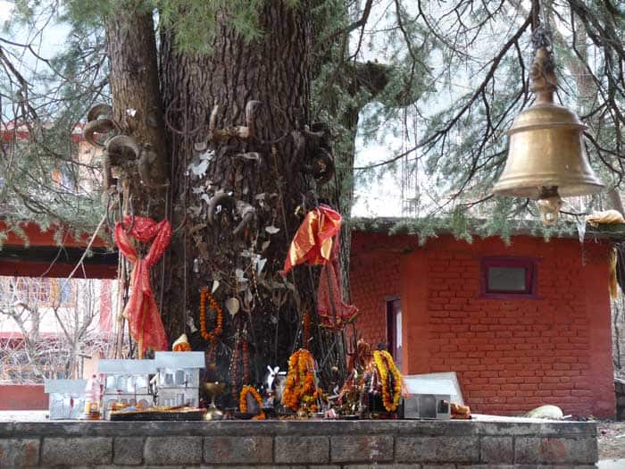 Book Hidimba Devi Temple Entry Tickets Online, Buy Online Tickets Now!