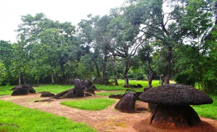 Book Kudakkallu Parambu Entry Tickets Online, Buy Online Tickets Now!