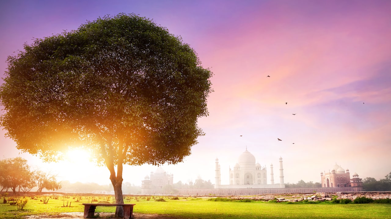 Book Mehtab Bagh Entry Tickets Online, Buy Online Tickets Now!