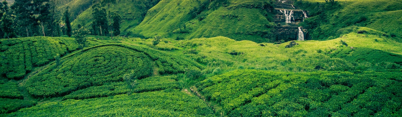 Kandy Beach Packages: Book Beach from Kandy at Yatra.com