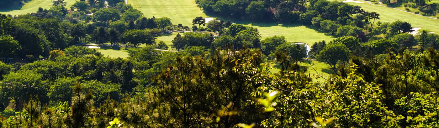 Ansan Tour Packages From Kerala - Book Ansan Packages From Kerala at ...