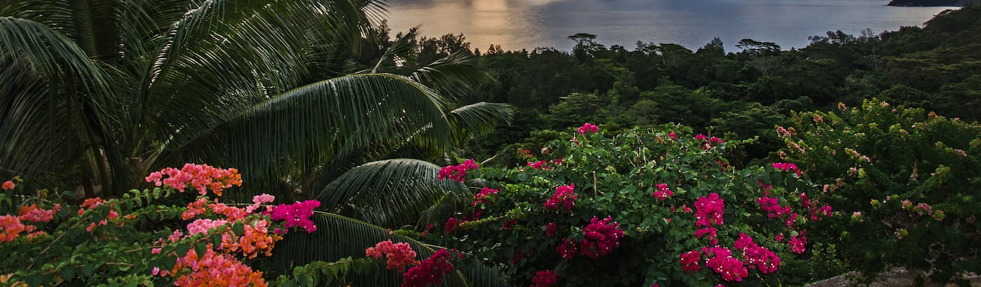 Takamaka Tour Packages From Kerala - Book Takamaka Packages From Kerala ...