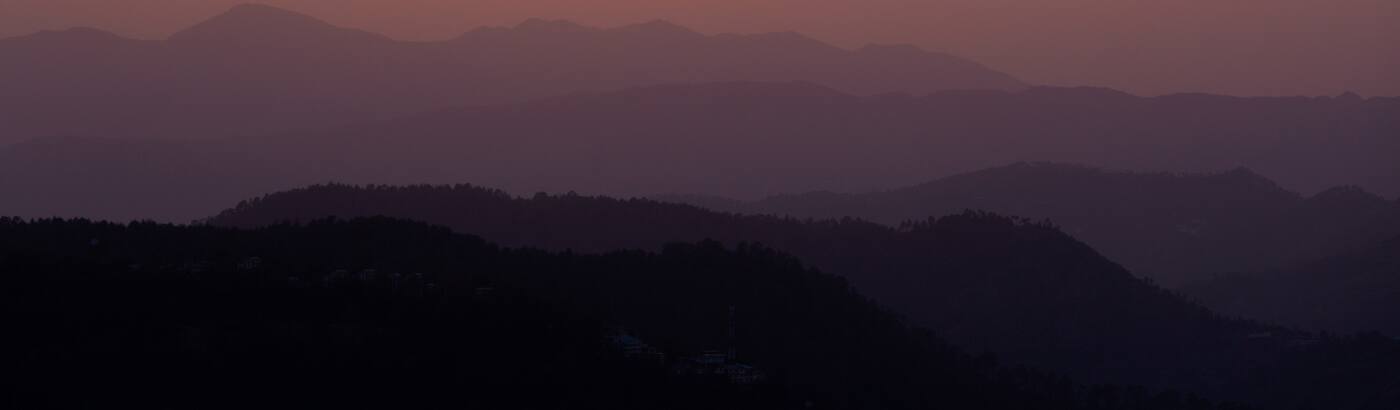 Baddi Wildlife Packages: Book Wildlife Tour Packages in Baddi with ...