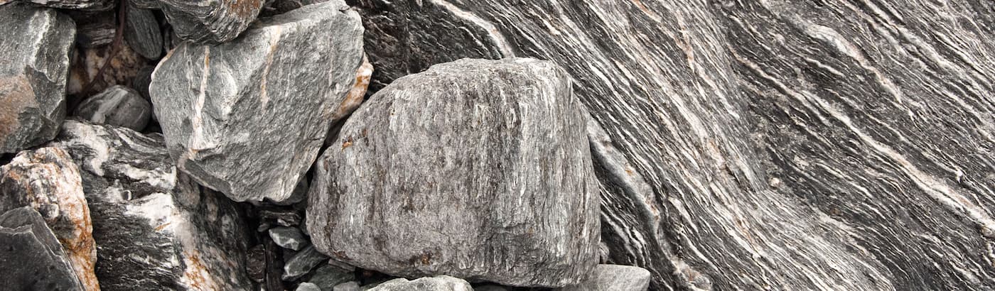 Barbil Wildlife Packages: Book Wildlife Tour Packages in Barbil with ...