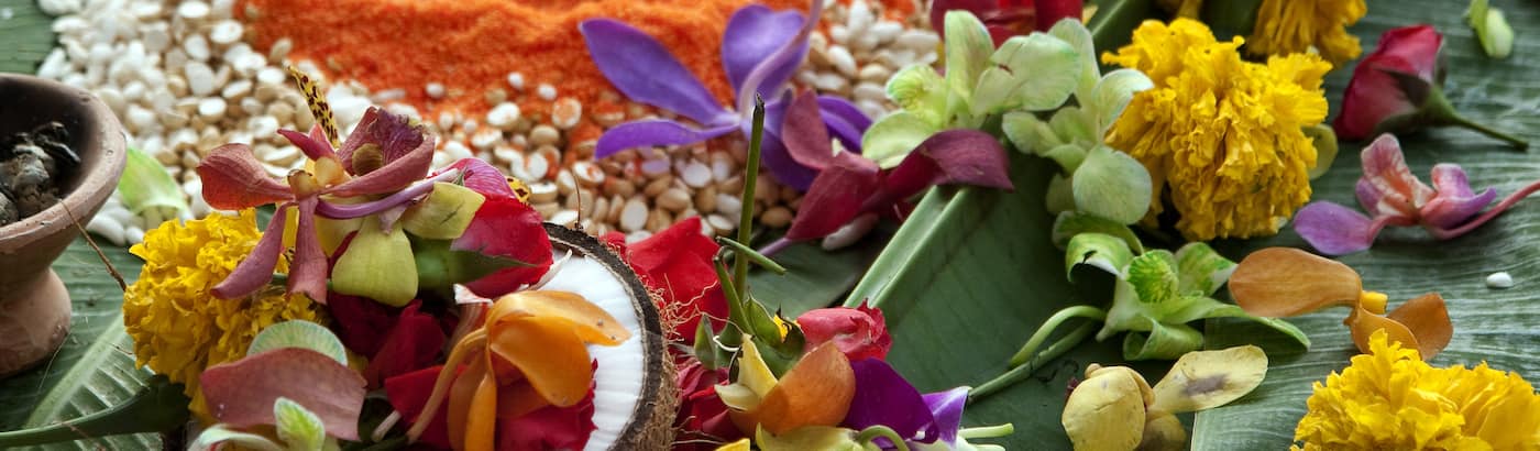 Charkhi Dadri Tour Packages From Kotdwar - Book Charkhi Dadri Packages ...