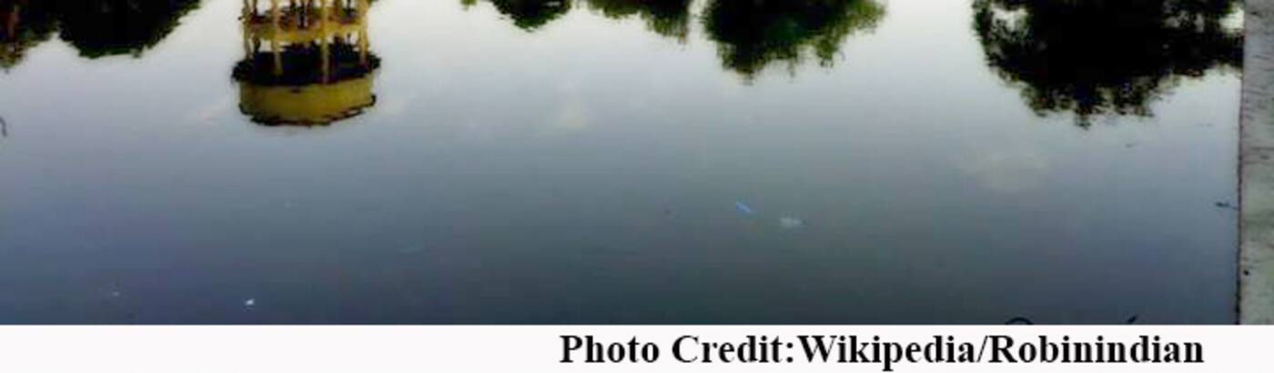 Chhapra Wildlife Packages: Book Wildlife Tour Packages in Chhapra with ...