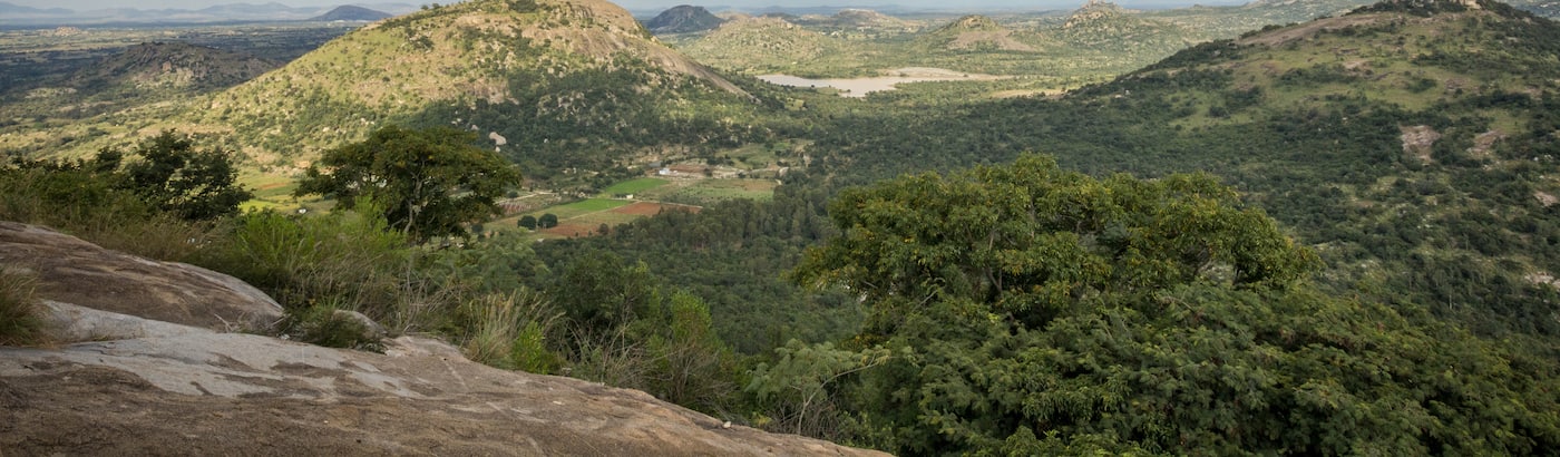 Chikkaballapur Wildlife Packages: Book Wildlife Tour Packages in ...