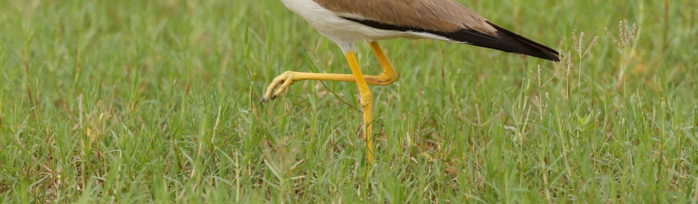 Kadi Tour Packages From Kerala - Book Kadi Packages From Kerala at Best ...