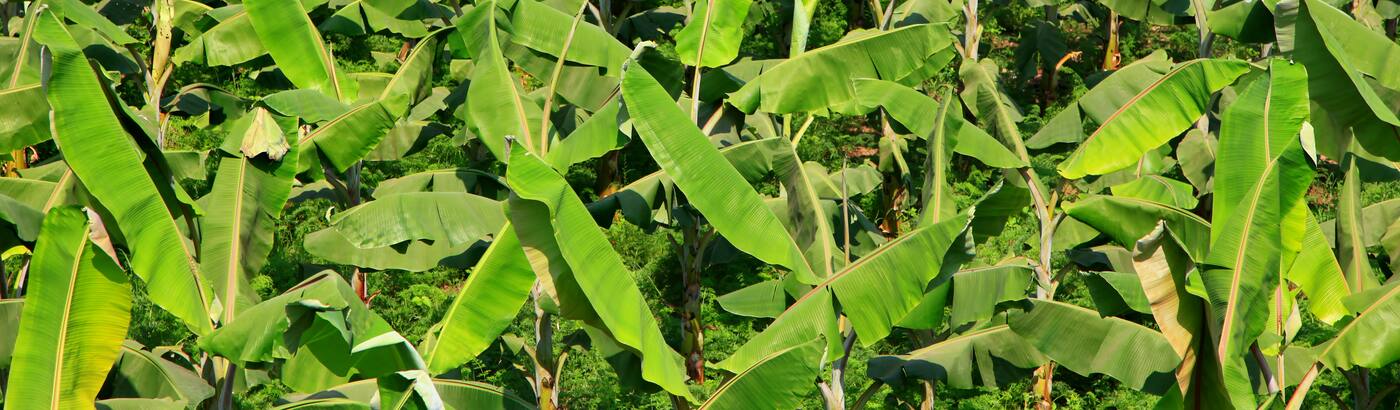 Madanapalle Tour Packages From Kerala - Book Madanapalle Packages From ...