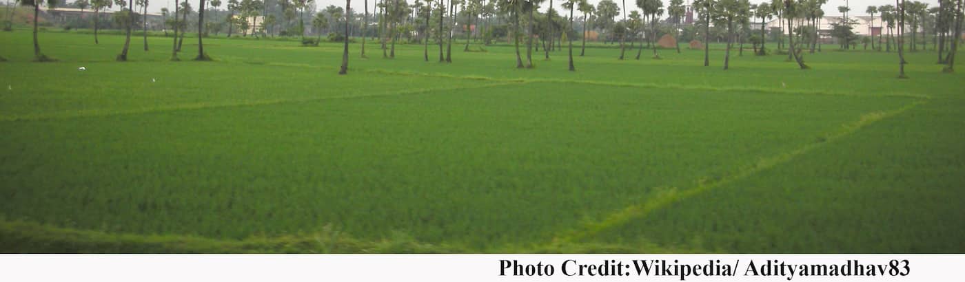 Mandapeta Wildlife Packages: Book Wildlife Tour Packages in Mandapeta ...