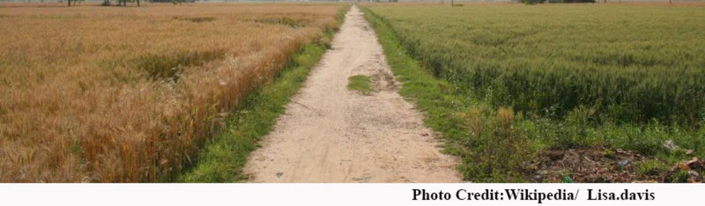 Phagwara Tour Packages From Tanakpur - Book Phagwara Packages From ...