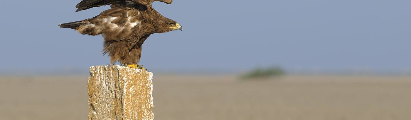 Rapar Tour Packages From Kerala - Book Rapar Packages From Kerala at ...