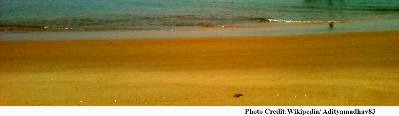 Tanuku Tour Packages From Kerala - Book Tanuku Packages From Kerala at ...