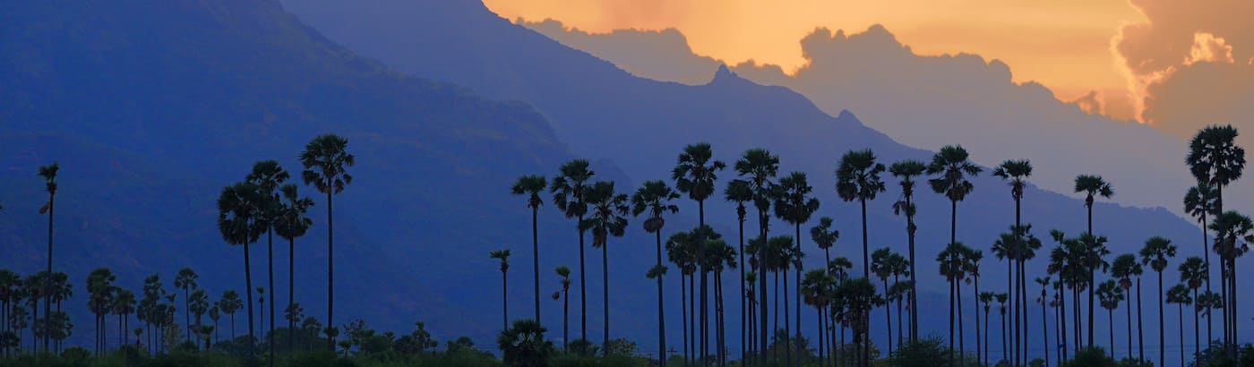 Tenkasi Family Packages: Book Family Tour Packages in Tenkasi with ...