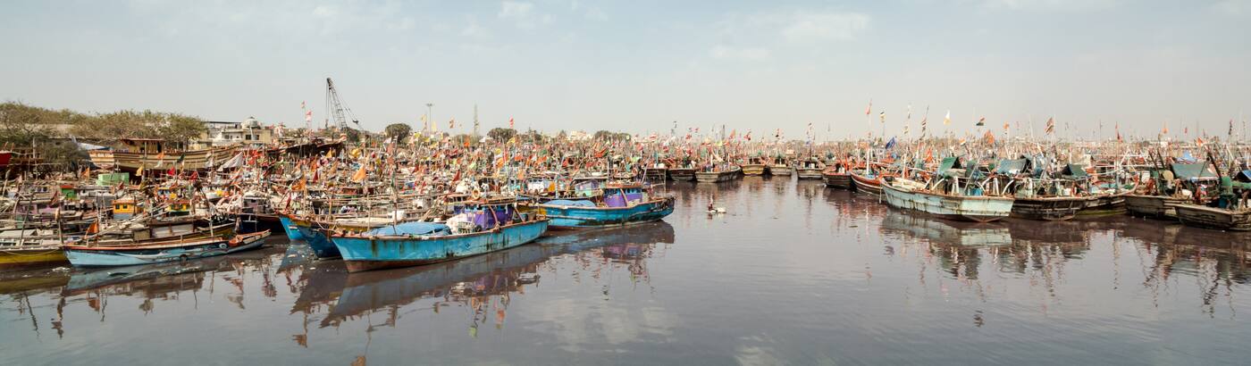 Veraval Wildlife Packages: Book Wildlife Tour Packages in Veraval with ...