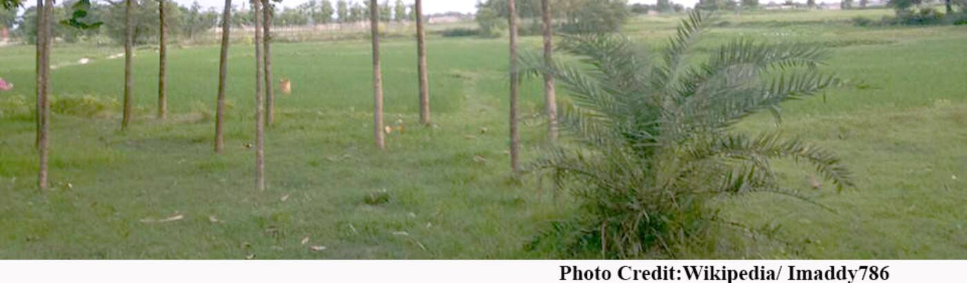 Saharsa Tour Packages From Hyderabad - Book Saharsa Packages From ...