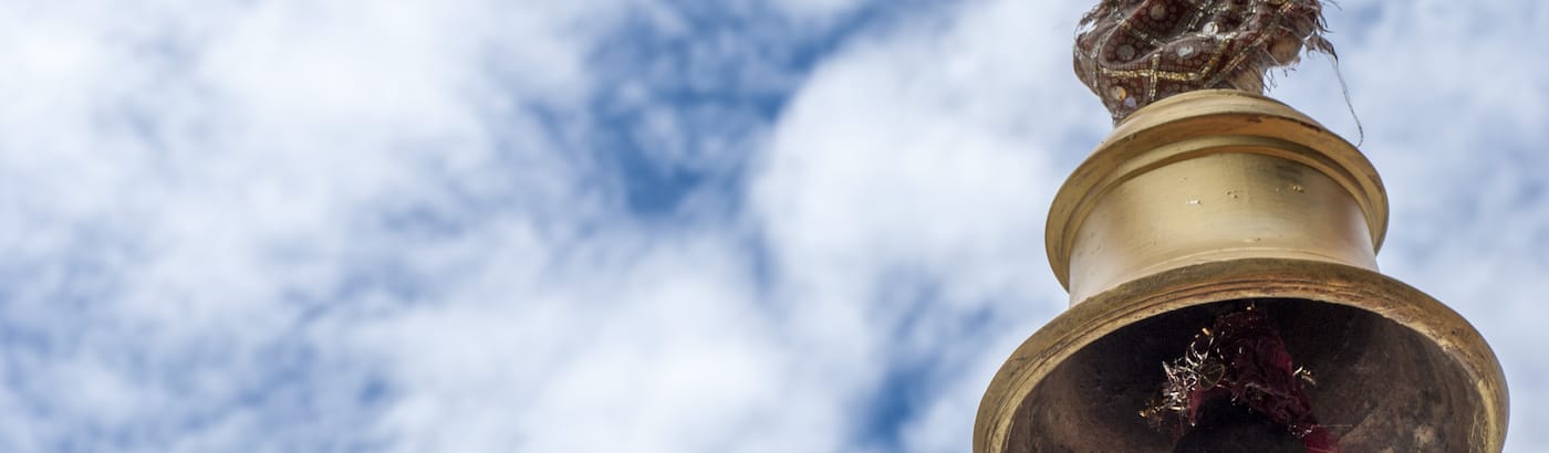 Washim Wildlife Packages: Book Wildlife Tour Packages in Washim with ...