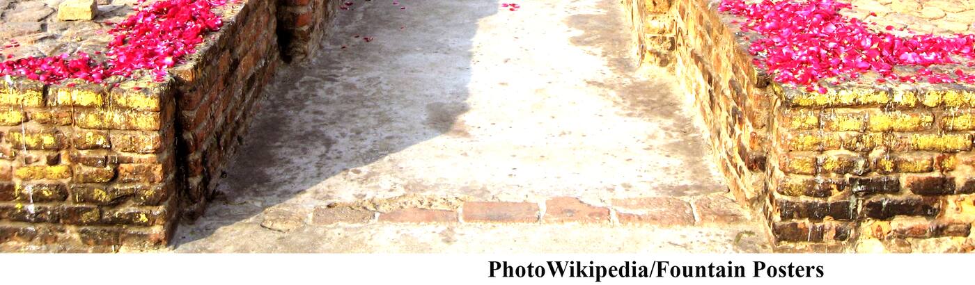 Gonda Wildlife Packages: Book Wildlife Tour Packages in Gonda with ...