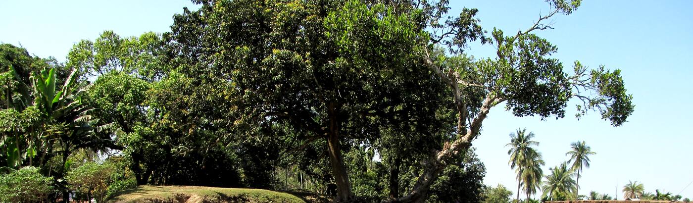 North 24 Parganas Tour Packages From Kerala - Book North 24 Parganas ...