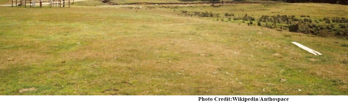 Koderma Wildlife Packages: Book Wildlife Tour Packages in Koderma with ...