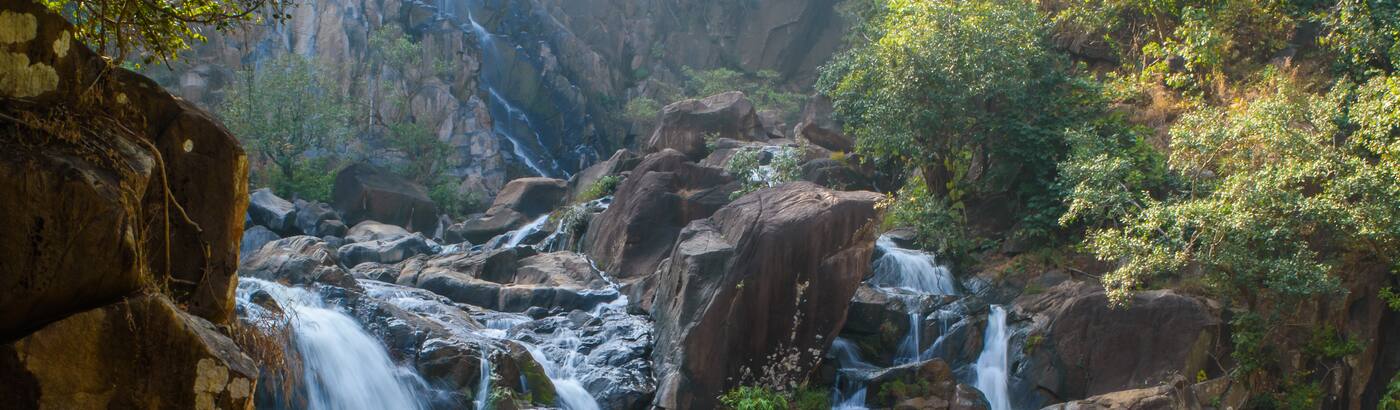 Latehar Wildlife tours, Best Wildlife in Latehar - Yatra.com