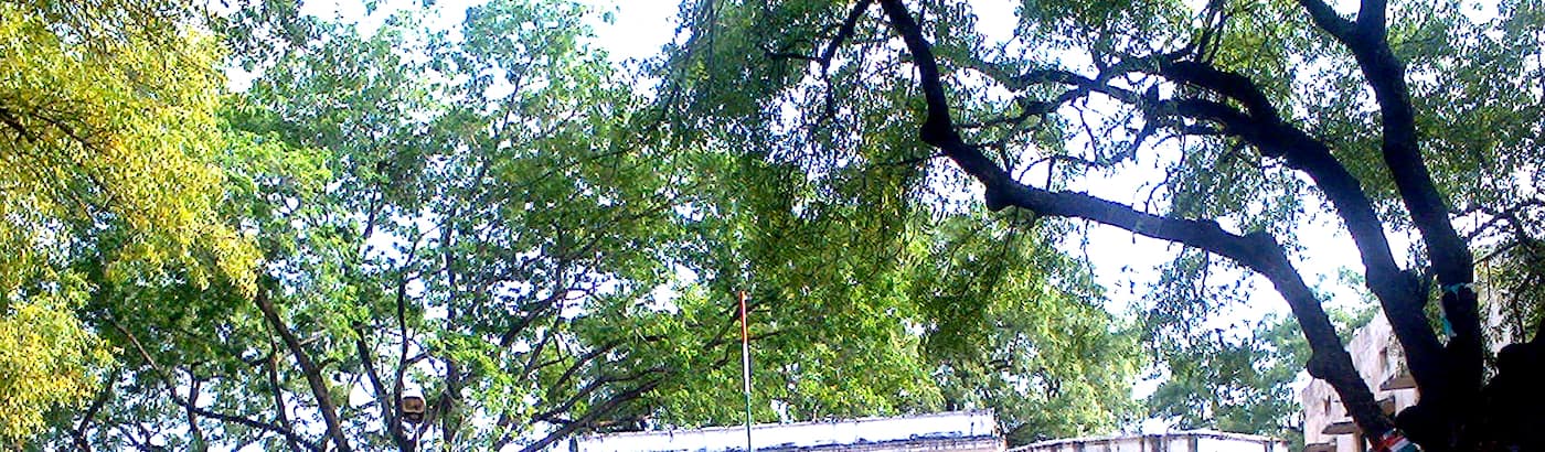 Mahbubnagar Tour Packages From Kerala - Book Mahbubnagar Packages From ...