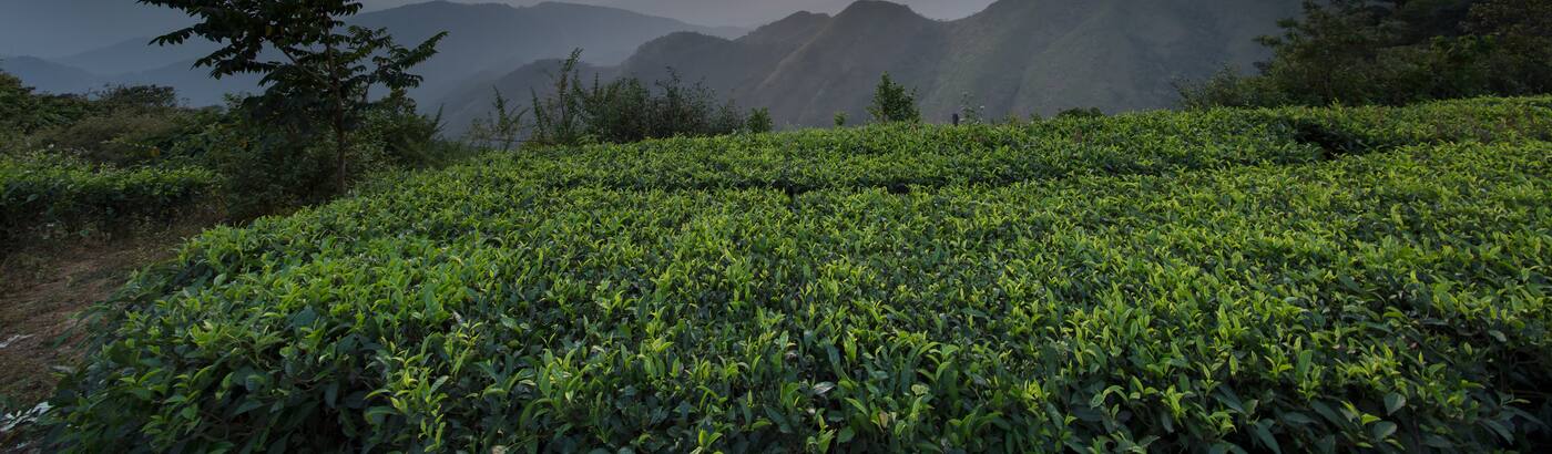 Vagamon Beach Packages: Book Beach Tour Packages in Vagamon with Yatra.com