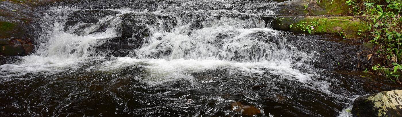 Gavi Tour Packages, Book Gavi Holiday Package at Best Price, Upto 30% Off