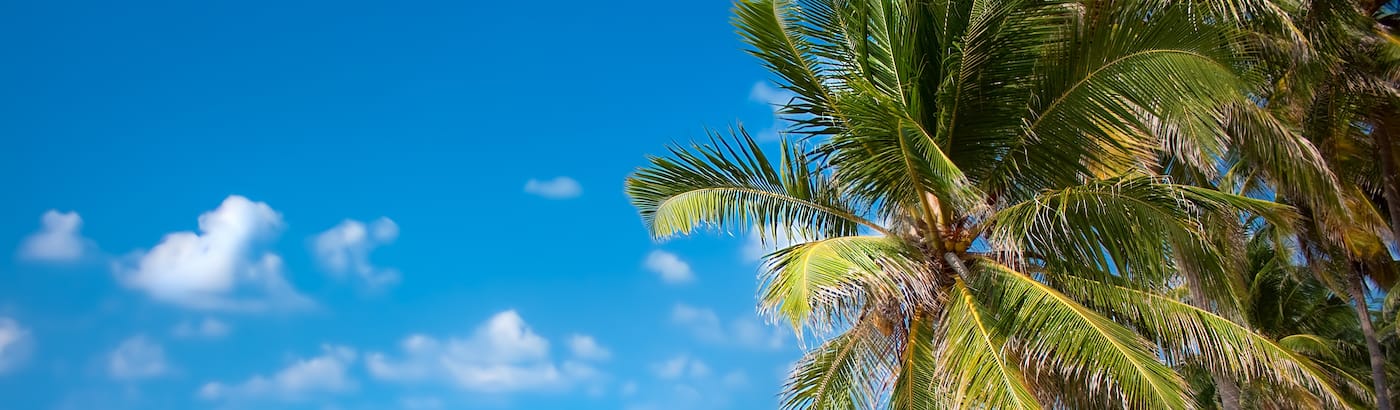 Agatti Island Tour Packages, Book Agatti Island Holiday Package at Best ...