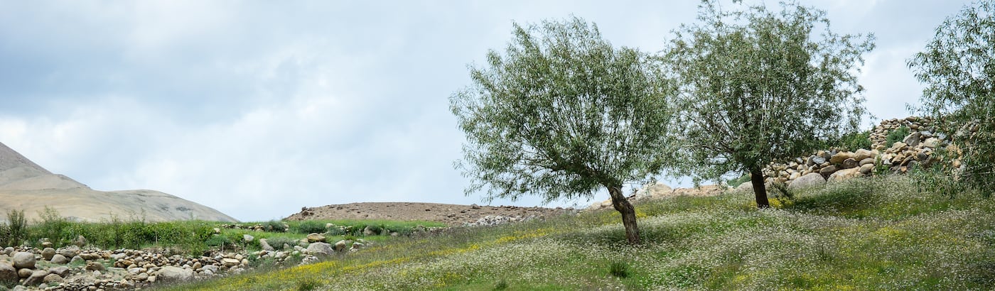 Mudh Lakes Packages: Book Lakes Tour Packages in Mudh with Yatra.com