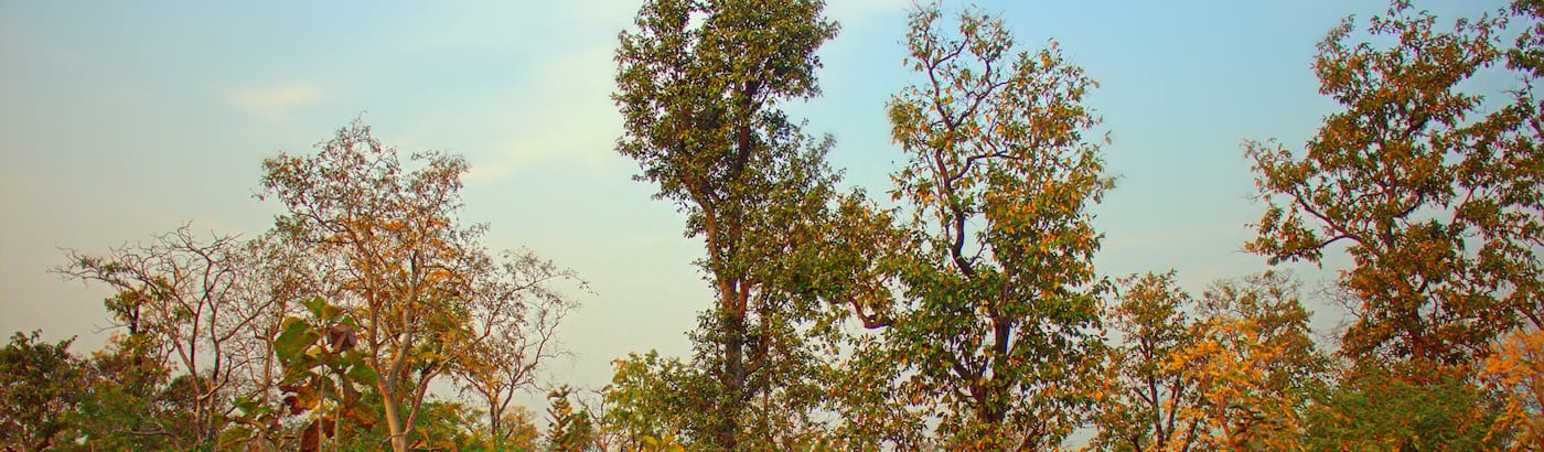 Durshet Wildlife Packages: Book Wildlife Tour Packages in Durshet with ...